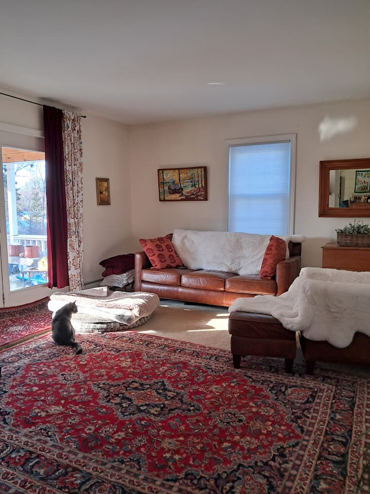 Beth's Vermont
New England Charm - Burlington, VT