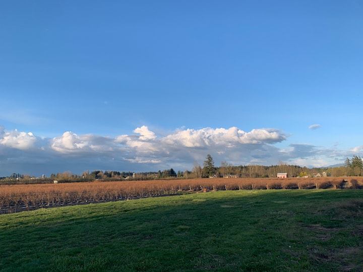 Bode Farms - Ferndale, WA