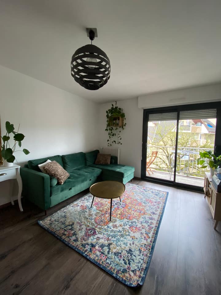 Joli Appartement T2 - Annecy