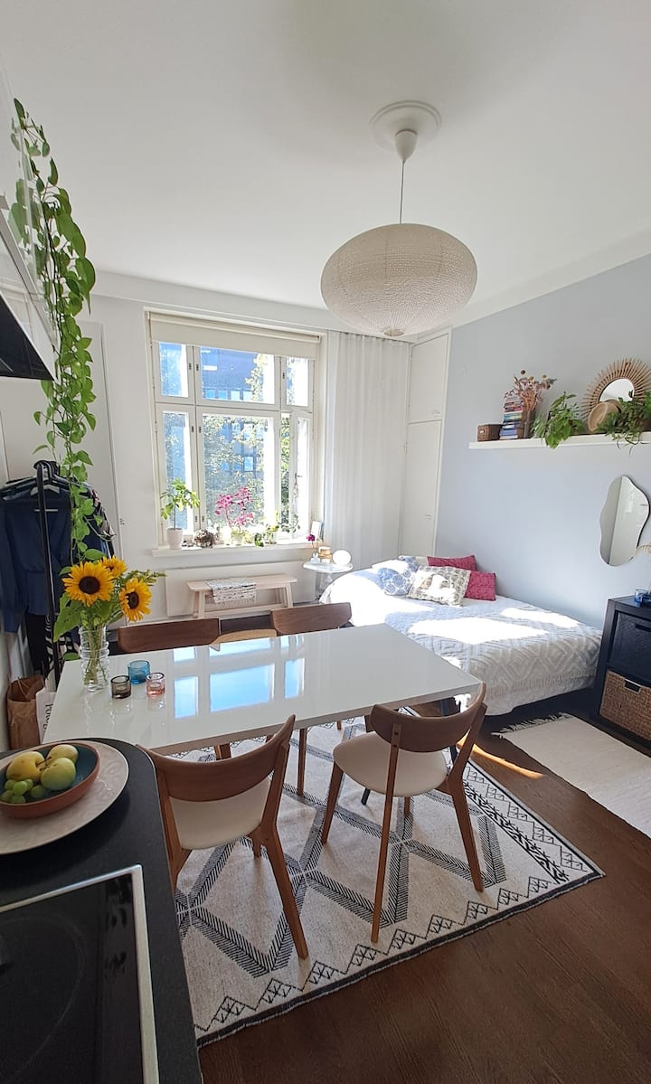 Cosy Studio With Great Location! - Helsinki