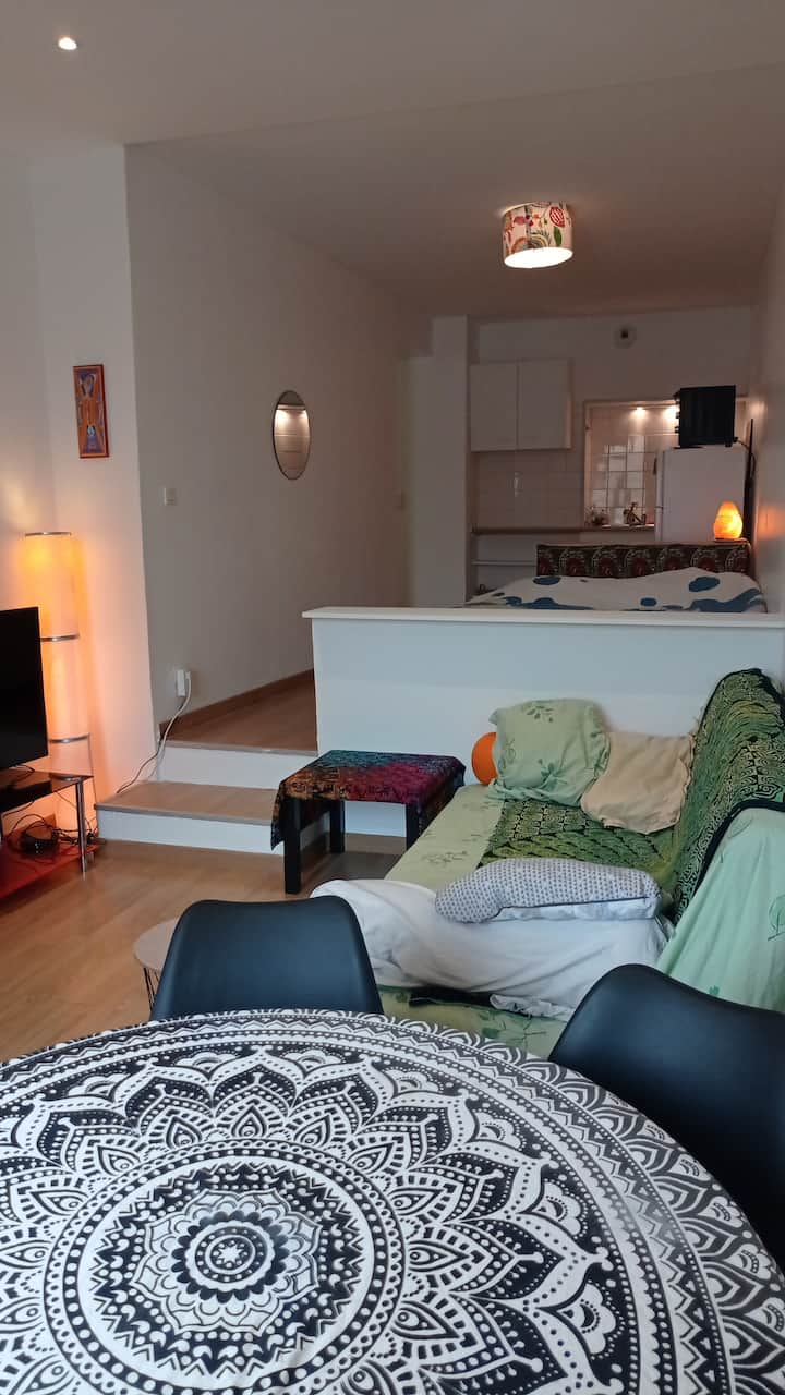 Charmant Loft A Montpellier Centre - Montpellier