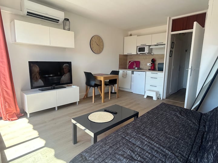 Studio Climatisé Vue Port, Plage à 3 Min - Plage de l'Espiguette