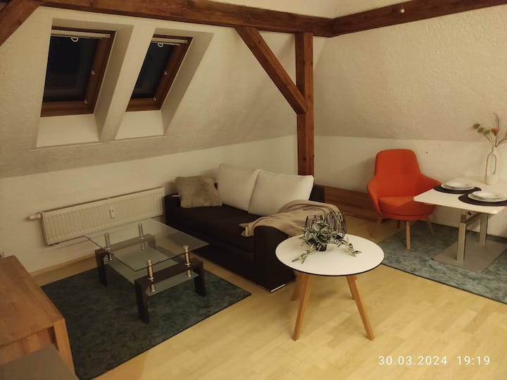 Kleines Appartement - Zwickau