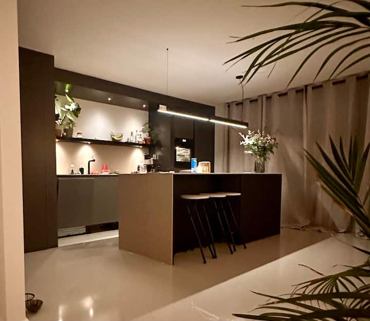 Top Locatie Nabij Het Centrum Van Haarlem - Haarlem