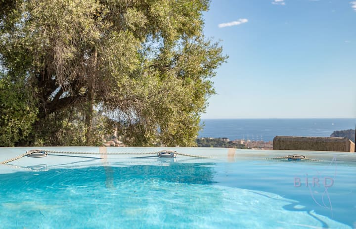 Villa Bonnard Hauteurs Niçoises Vue Mer Piscine - Nizza