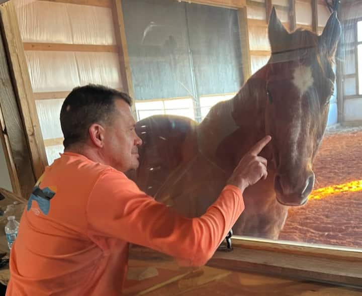 Horses At Your Window ~ Sleep In The Barn! - Alabama