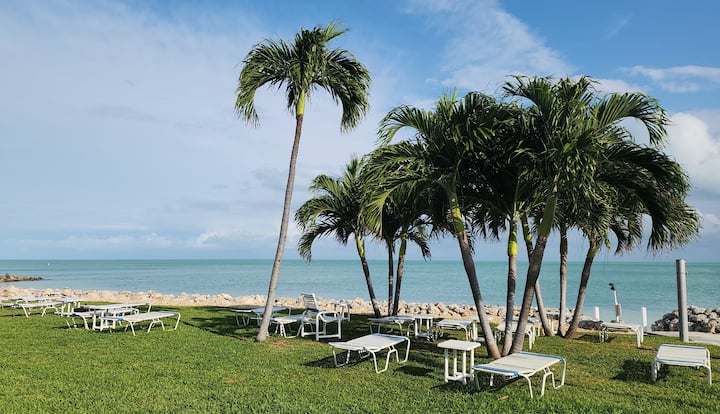 Stunning Tropical Ocean View Condo - Key Colony Beach, FL