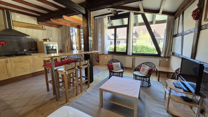 Gîte "Au Coeur De Bergheim" Classé 3* - 55m2 - Bergheim, France
