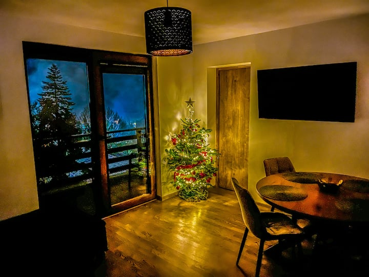 Cozy Flat With Spectacular Views - Sinaia