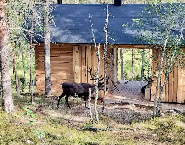 Log House And New Sauna Pikariporras - Saariselkä