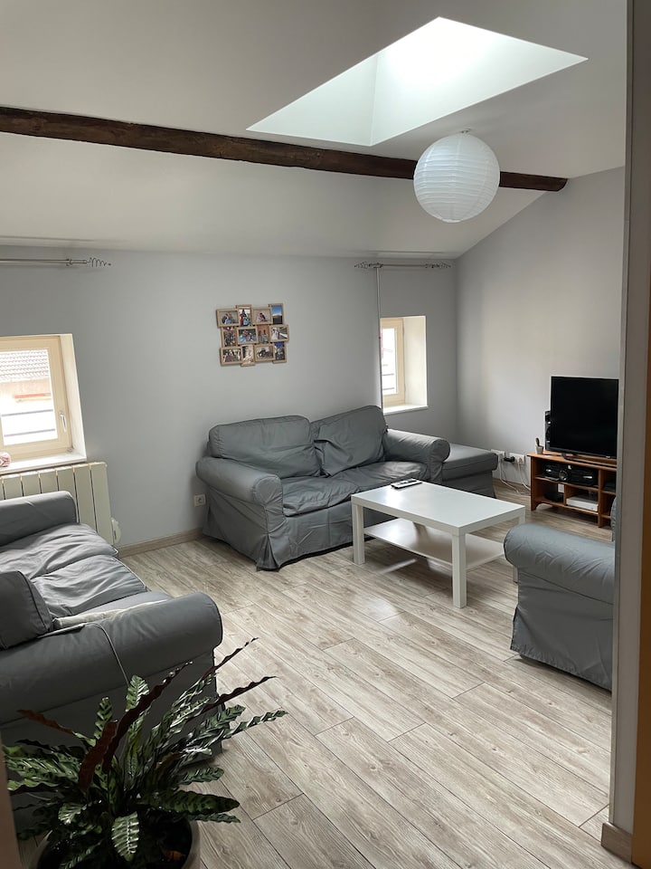 Appartement Proche De Lyon - Villefranche-sur-Saône