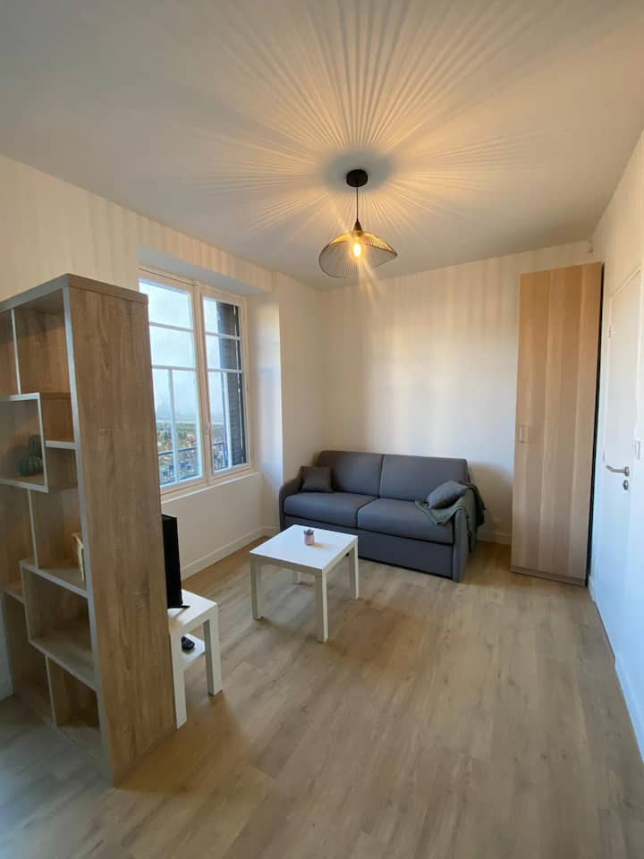 Charmant Studio à Rennes - 雷恩