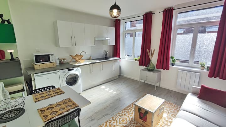 Appartement à 15 Min Du Centre-ville - Ronchin