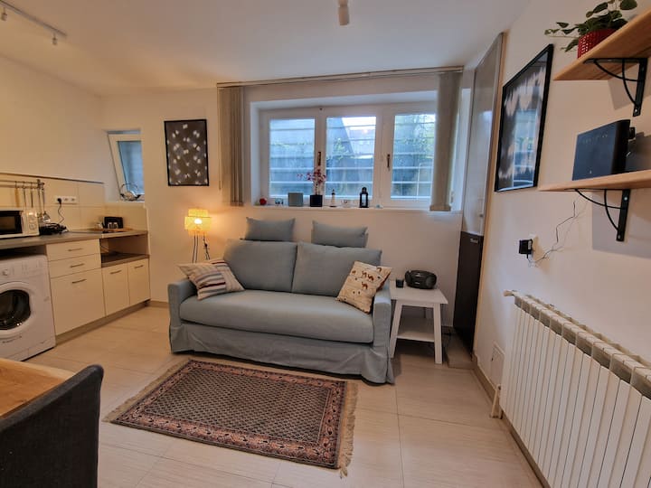 Artistic Apartment - Zágráb