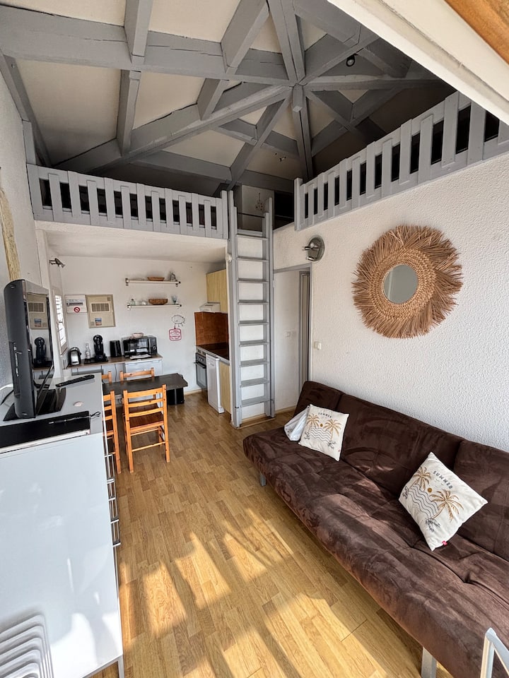 Appartement Barcares Front De Mer - Leucate