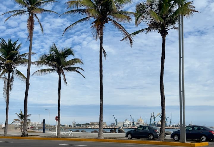 Suite 2 A Pasos De La Playa, Acuario Y Malecón - Veracruz, México