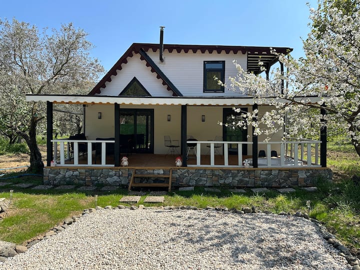 Denize Yakın,jakuzili,ahşap Ev - Gemlik