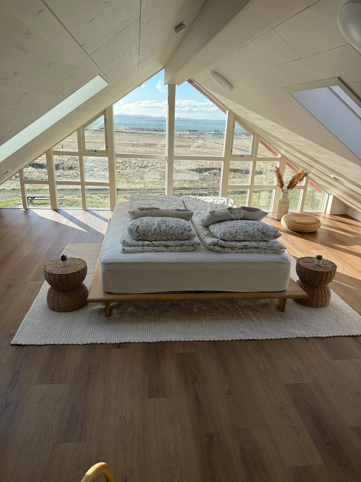 Esjuberg Farm-sleep With  Horses & Mountain Hike - Islande