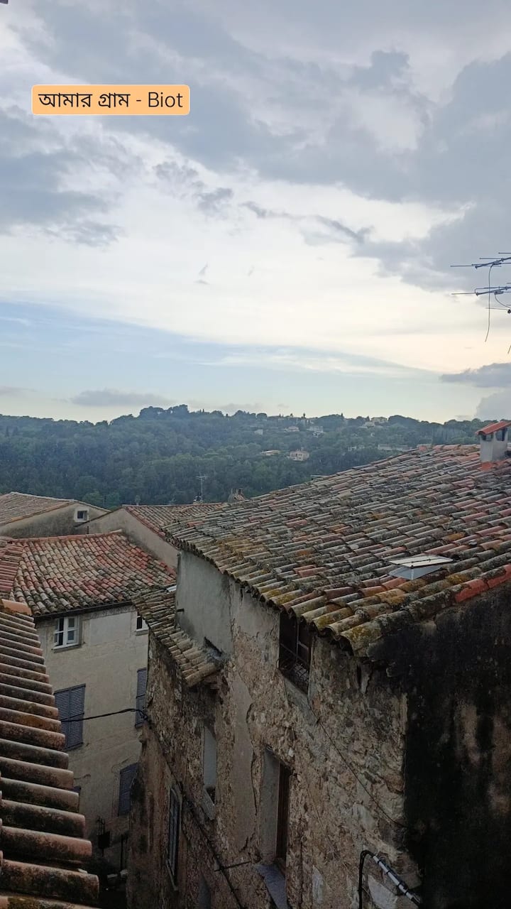 Tiny Room In Biot - Biot
