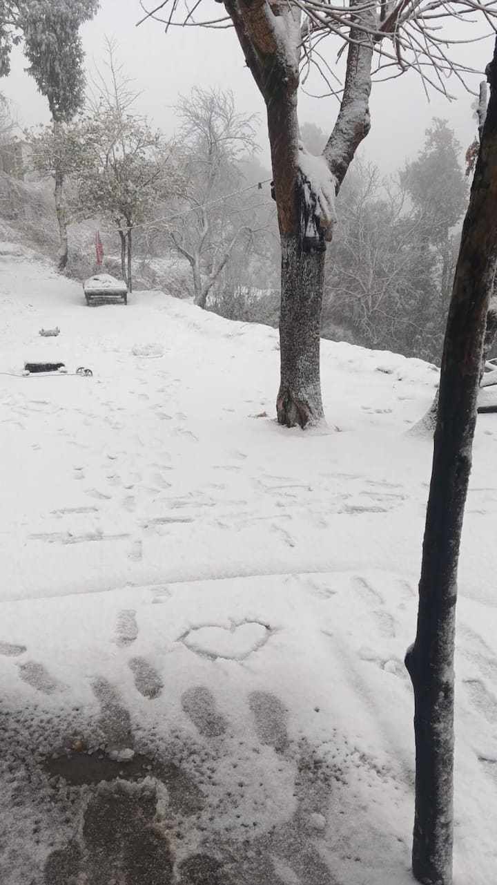 Hilltop Barog Home - Solan