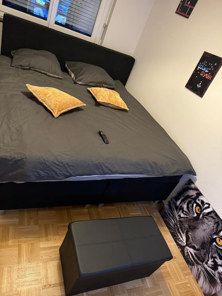 Chambre à Louer - Fribourg