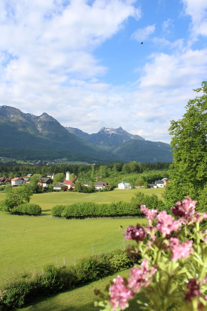 Apartment "Am Buchenhof" - Bad Ischl
