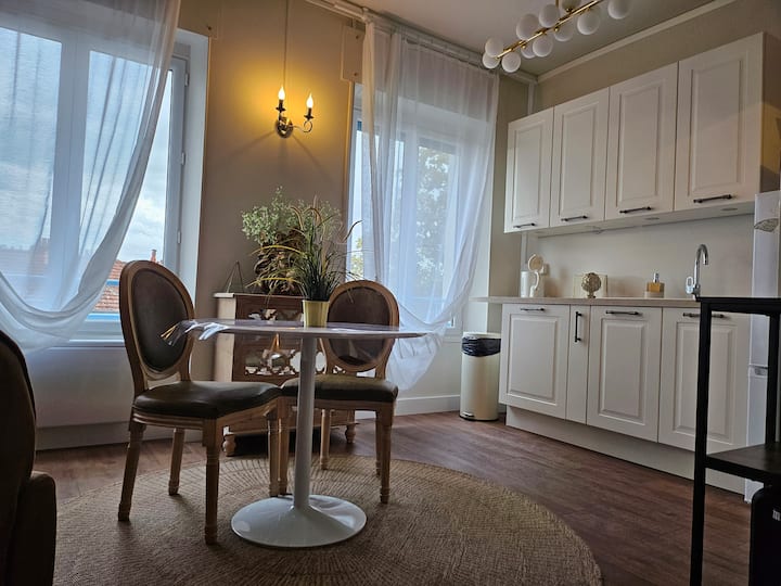Chaleureux Appartement - Vichy