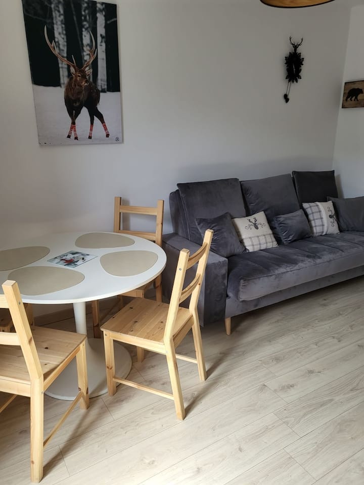 Charmant Appartement 2 Pièces - Murol
