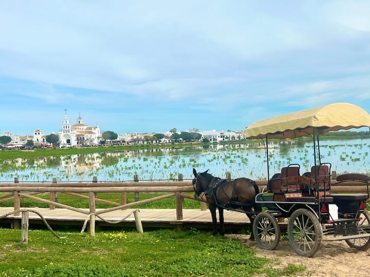 Coqueto Apartamento En El Rocío - Almonte