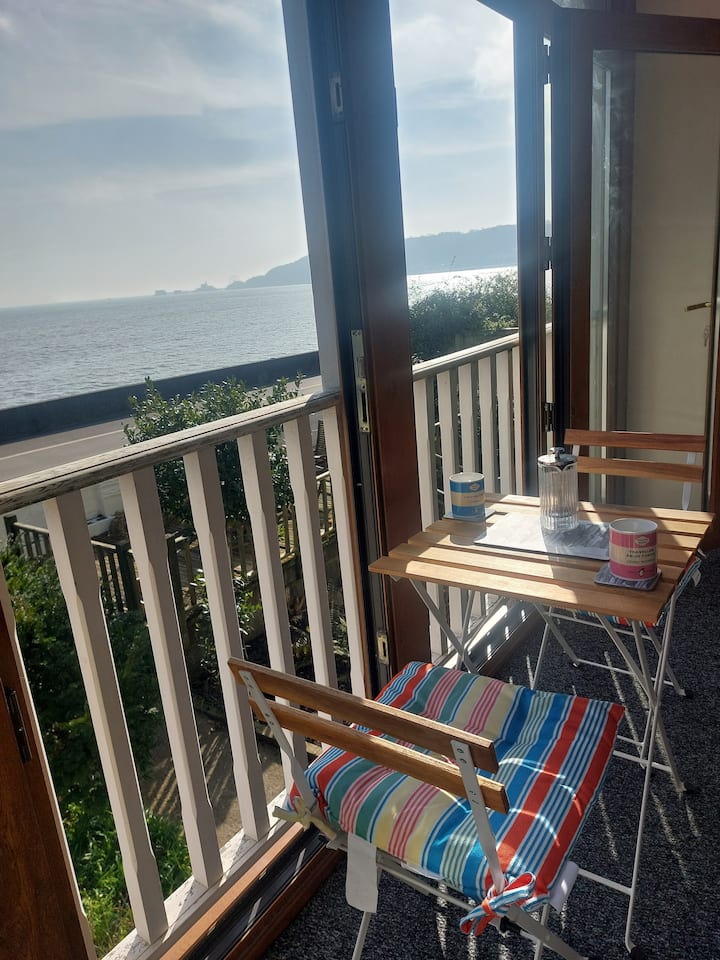 Mumbles View - The Mumbles