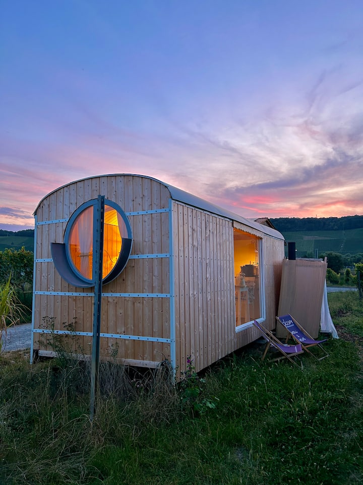 Weinblick Cottage Im Weinberg - Dettelbach
