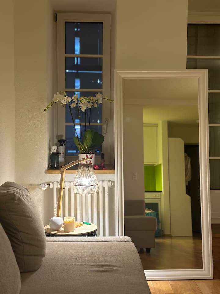 Studio -Heart Of Luzern -Terrace - Lucerna