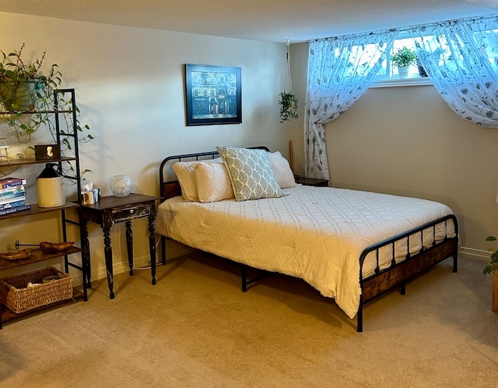 Bright Clean Suite - Kingston
