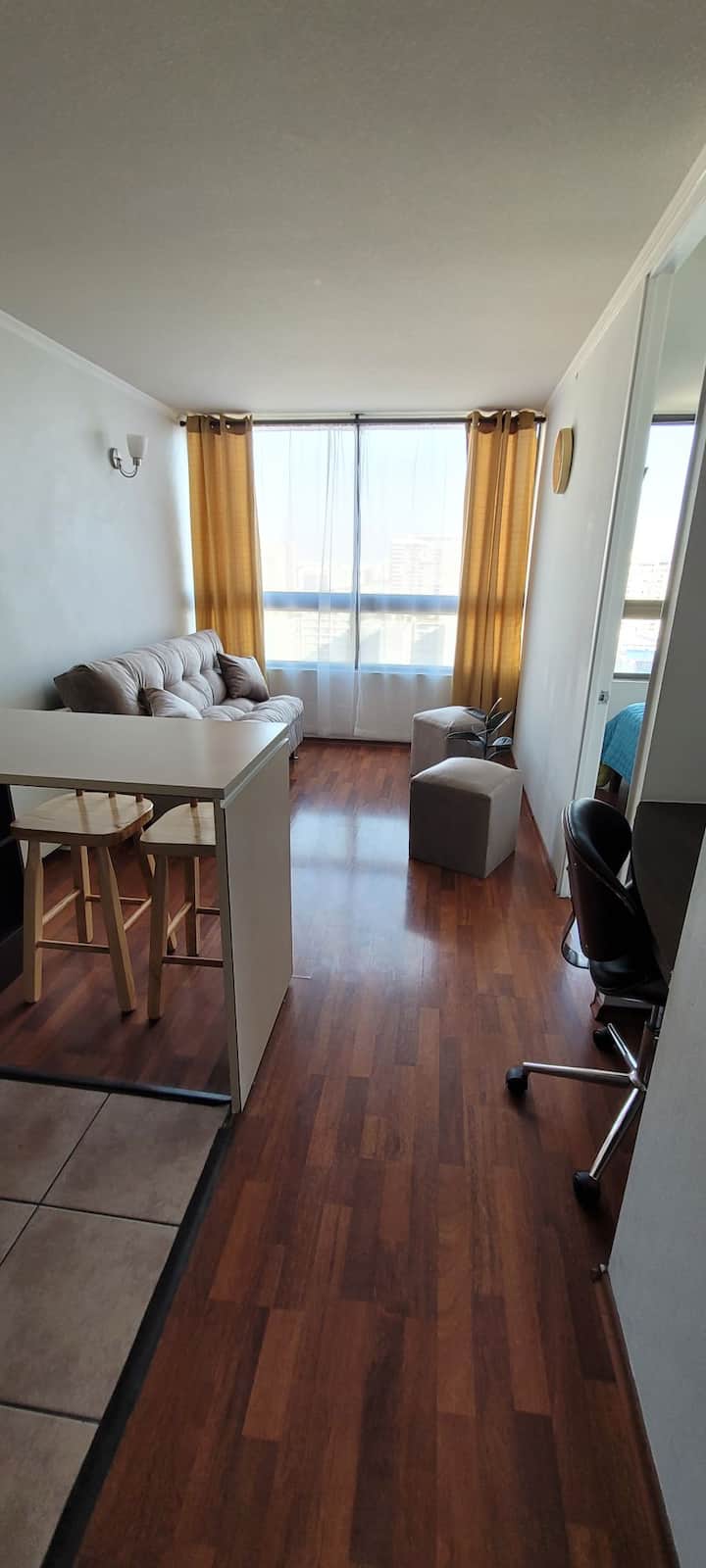 Cálido Y Acogedor Departamento. - Providencia