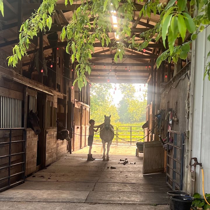 Animal Lovers Mini Farm Getaway! - Bedford, IN