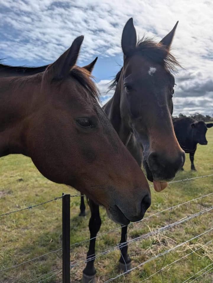 Q2 On Crestview Farm Stay - Mudgee