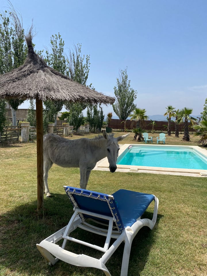 Casita Magica En El Campo - Sant Sadurní d'Anoia