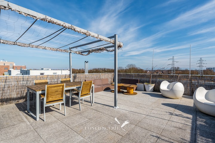 Attique Confort - Rooftop De 60m2 à Strasbourg - Lingolsheim