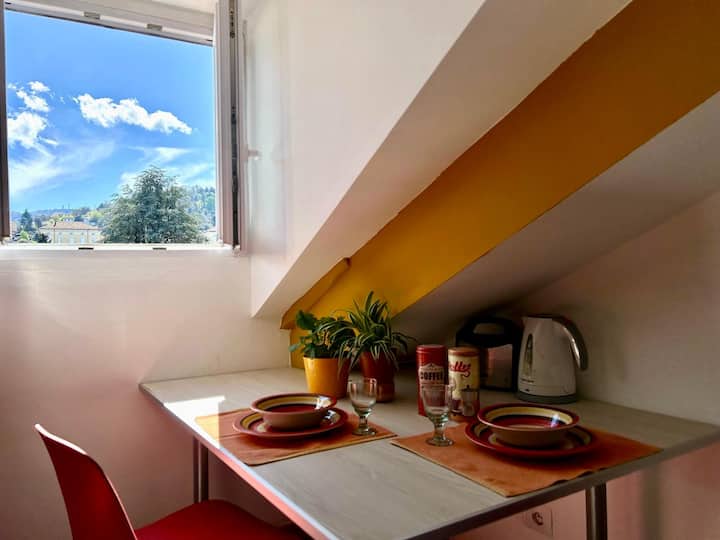 Il Nido Sui Tetti - Turin