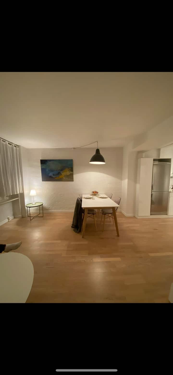 Cozy & Quiet In The Very Center - Copenhague