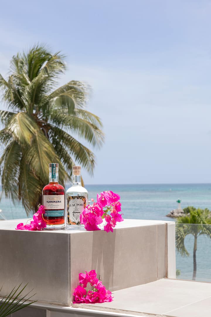 Les Alizés, Détente Et Plénitude Au Programme - Saint-François