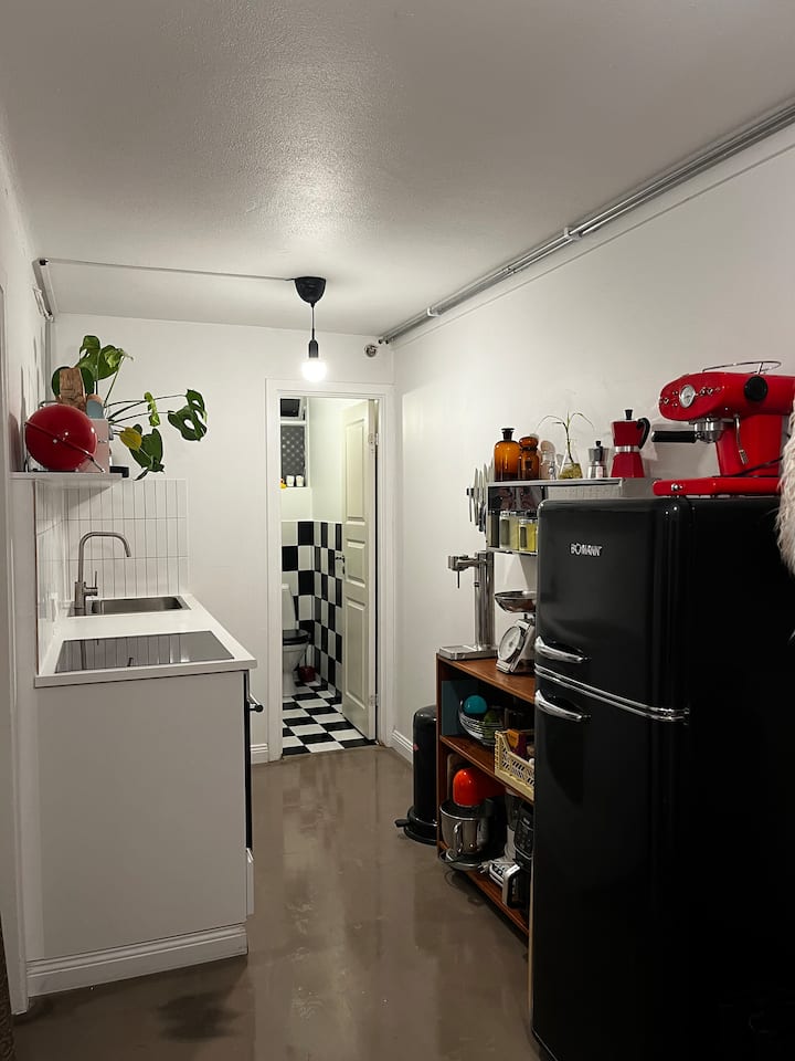 Charming And Cozy Gem In The Heart Of Reykjavík - Reykjavík