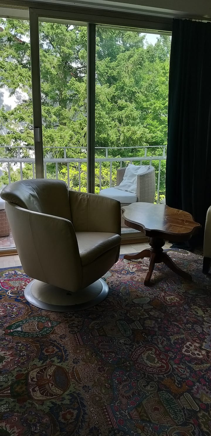 Cosy Room With Balcony - Neurenberg