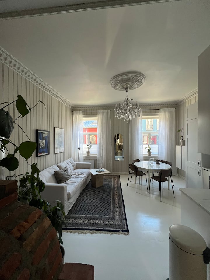 Koselig Og Sentral Leilighet - Oslo
