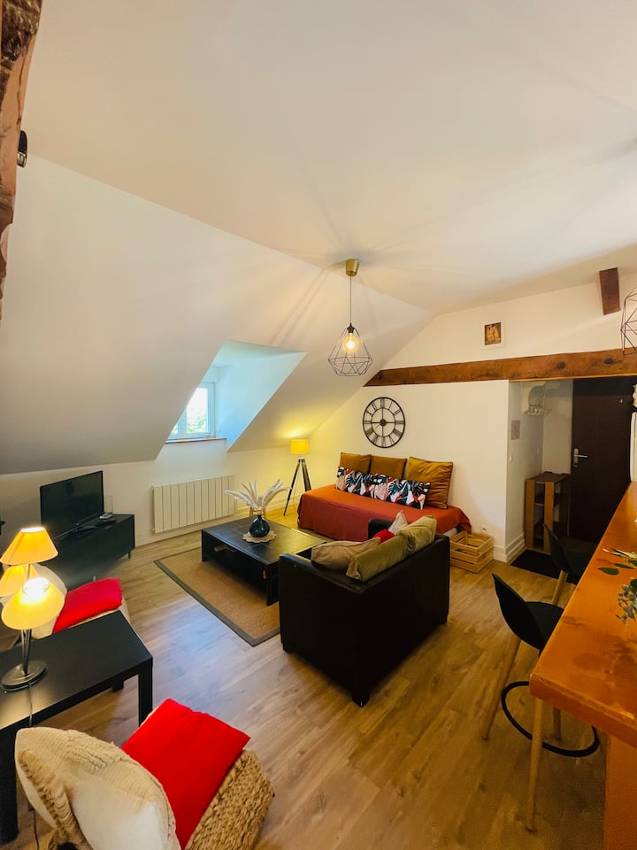 Appart Cosy Mansardé 6 Pers Mont-dore - Mont-Dore