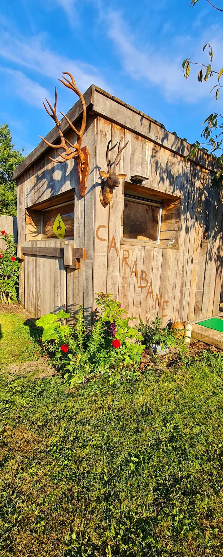 La Carabane En Sologne Avec éLectricité - Lamotte-Beuvron