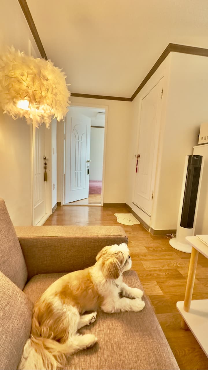 Hongdae Asian Style Room - Seoul