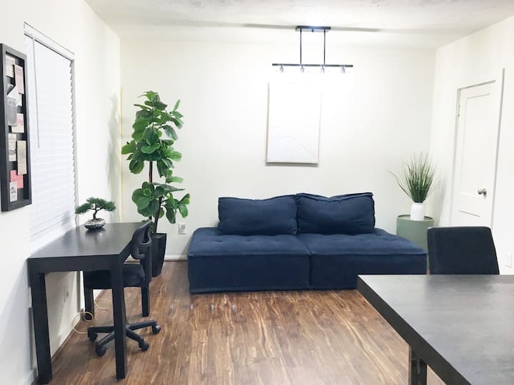 Thegreennest/medical C/downtown/minutemaid/nrg/zoo - South Park - Houston