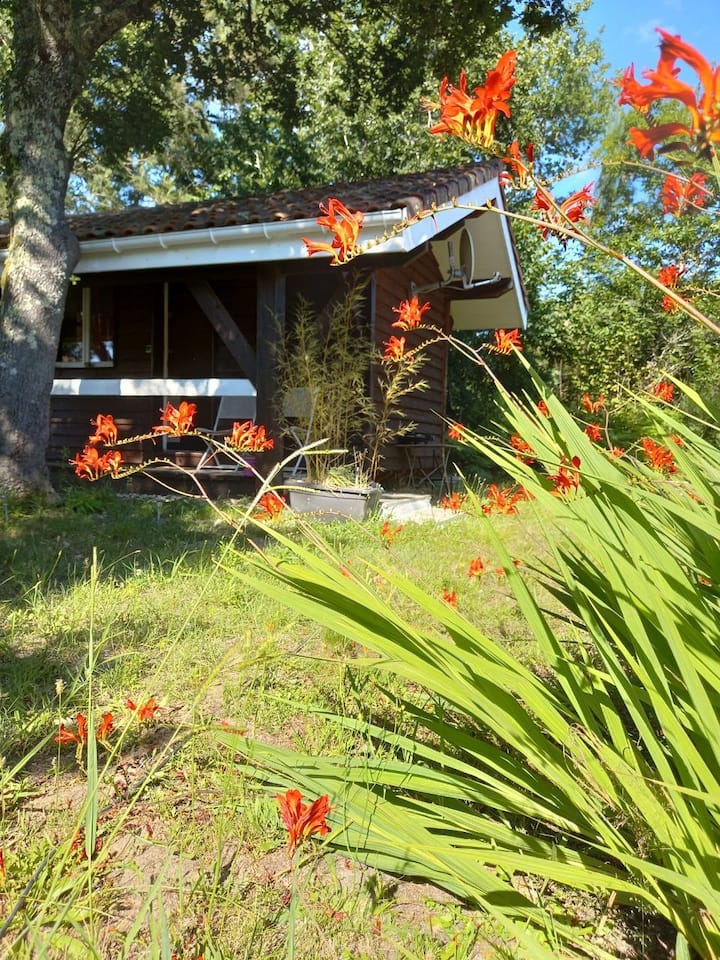 Cabane, 10 Min De L’océan - Contis-Plage