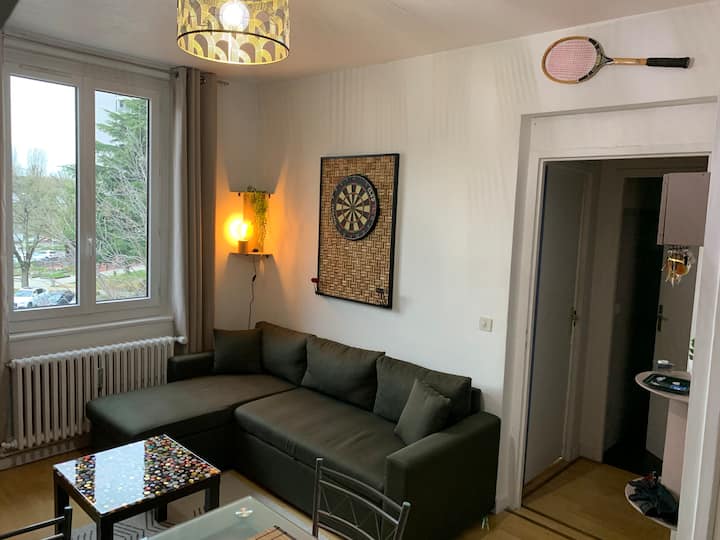 Charmant T2 Annecy - Annecy